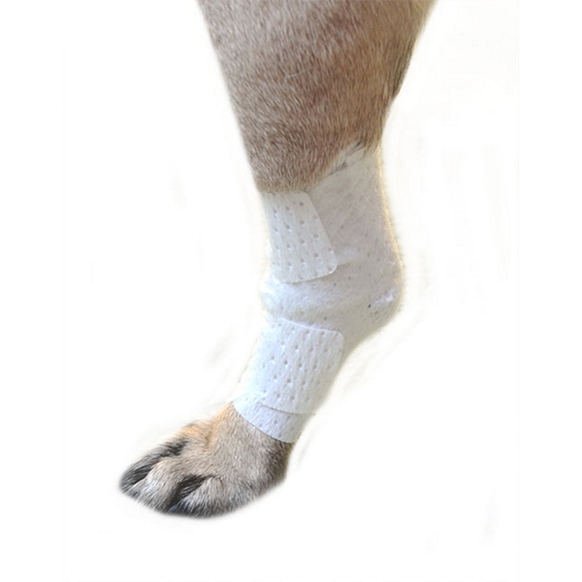 PAWFLEX - Bandages - PF-Gelenkbandage - PawFlex Universal Joint ...
