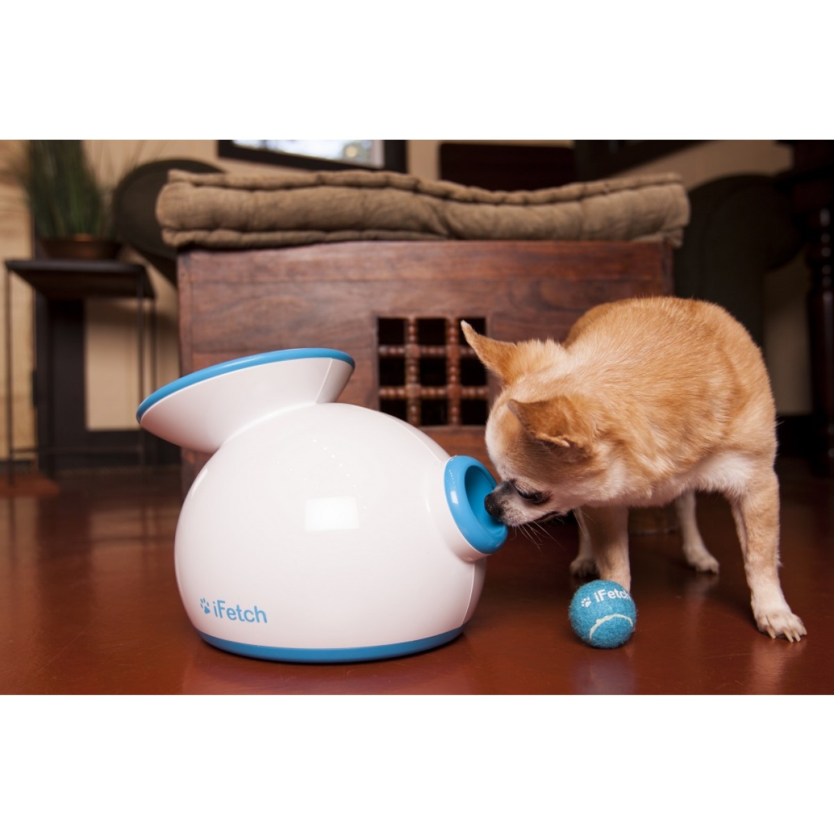 IFETCH - Ball Launcher - IF-iFetch-kl - iFetch, Ballschleuder für Hunde